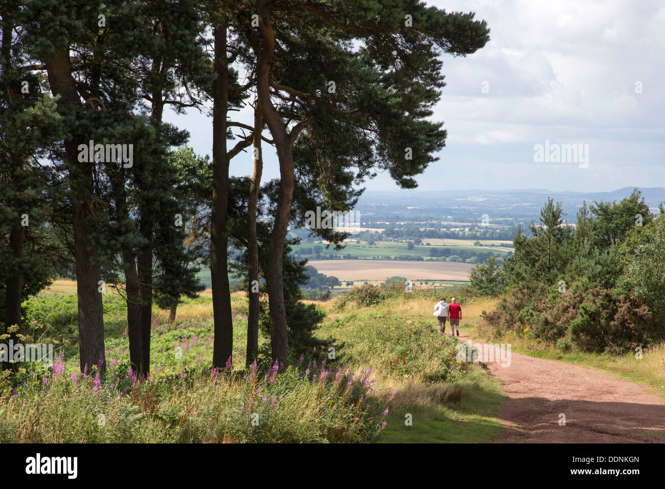 Clent hills walking hi-res stock photography and images - Alamy
