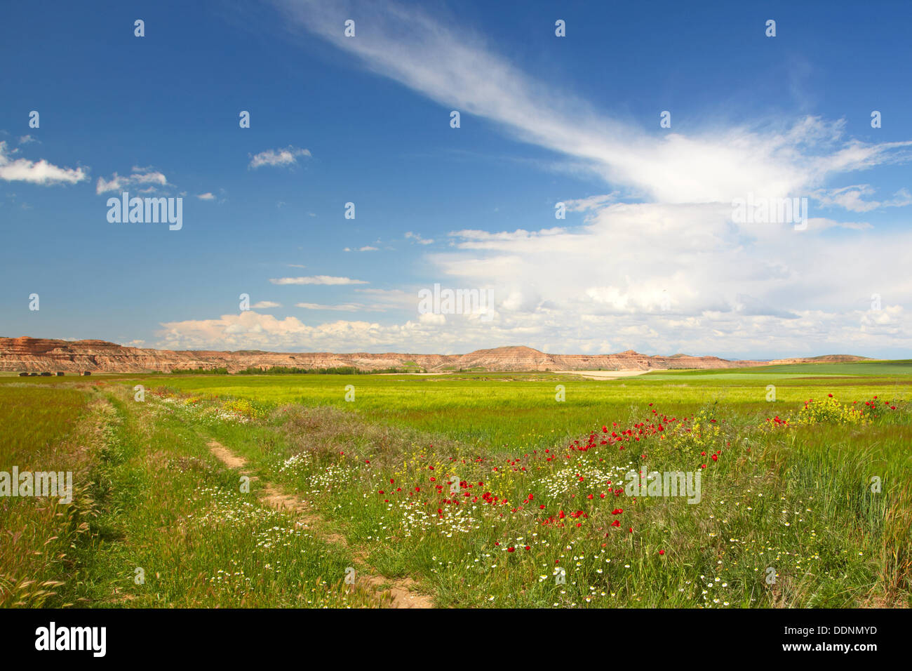 Saragossa hi-res stock photography and images - Alamy