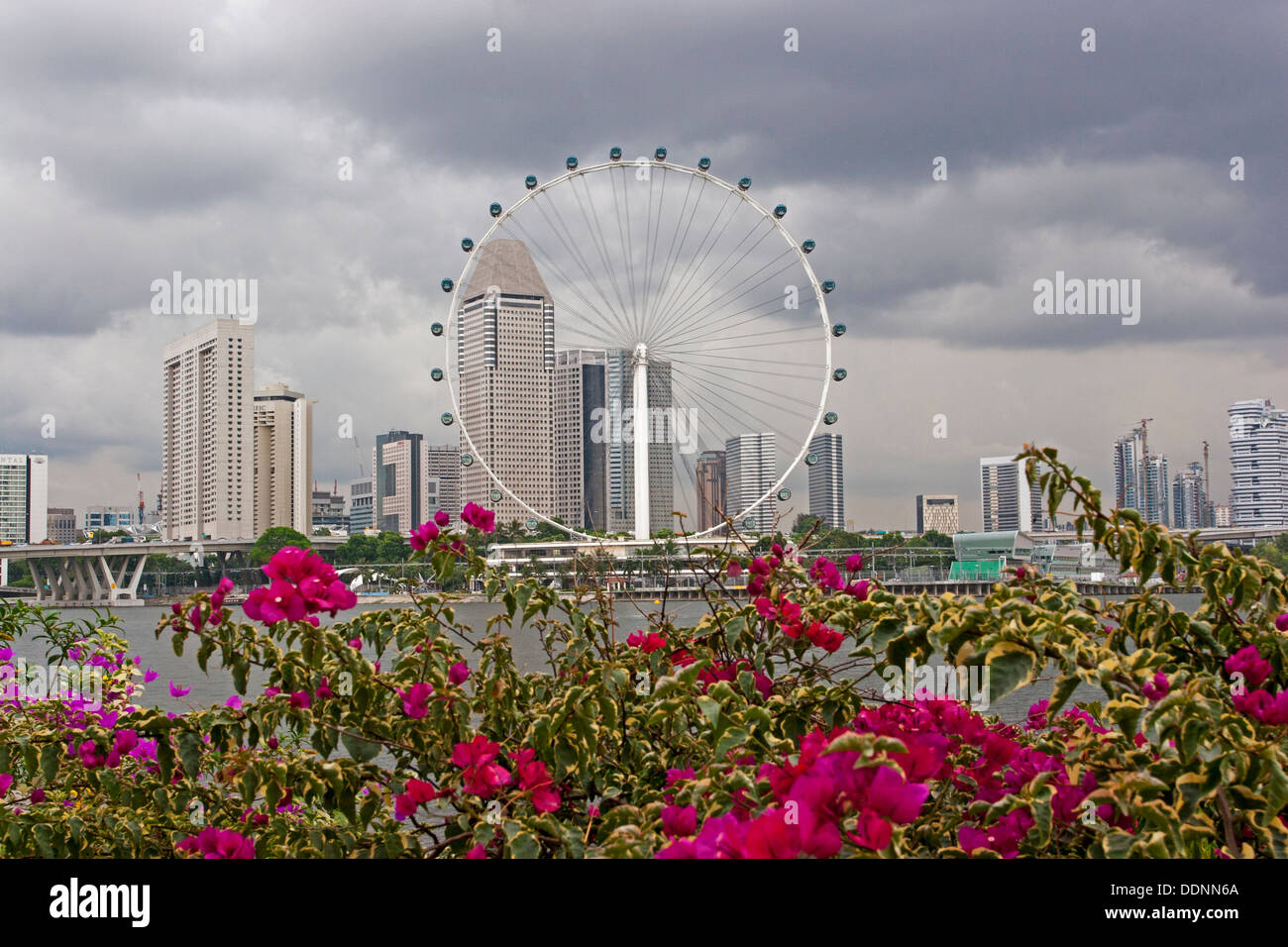 The ferris wheel at Singapore Stock Photo - Alamy