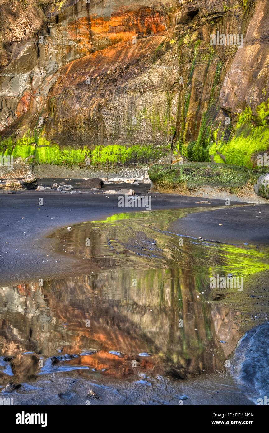 Black Algae High Resolution Stock Photography and Images - Alamy