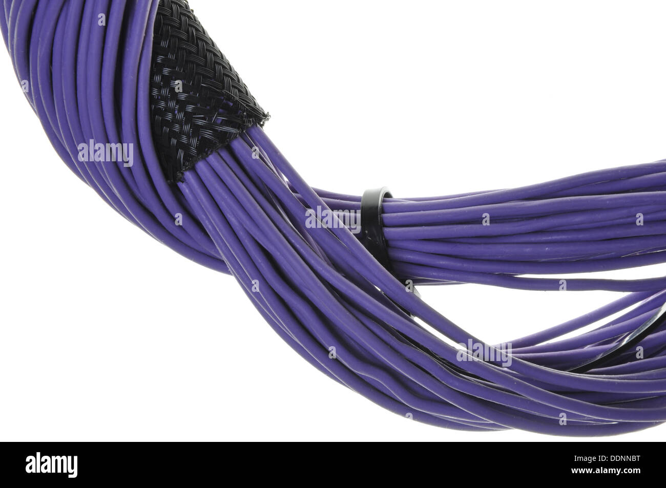 Purple cables in broadband networks Stock Photo - Alamy