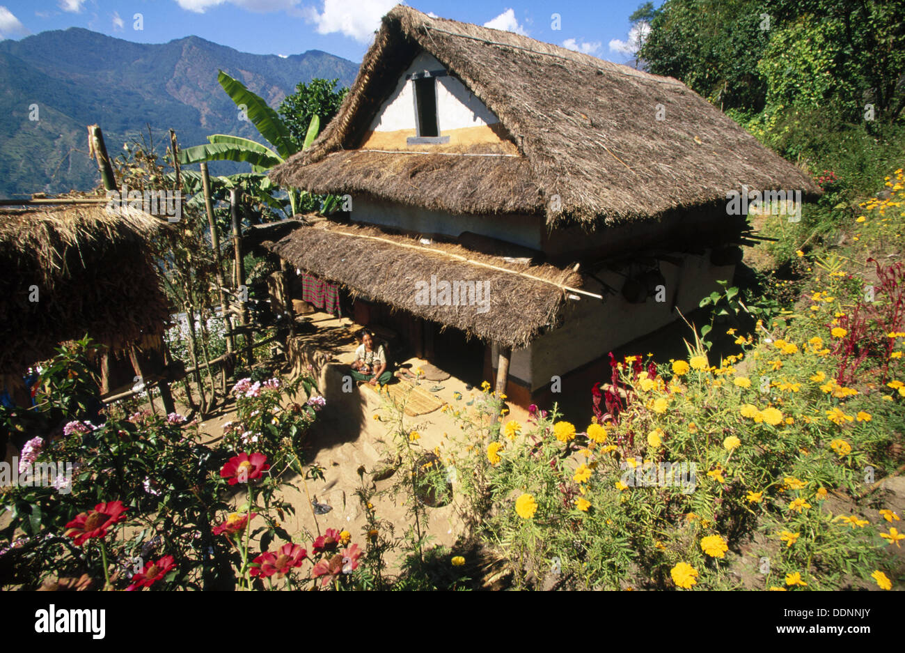 Limbu hi-res stock photography and images - Alamy