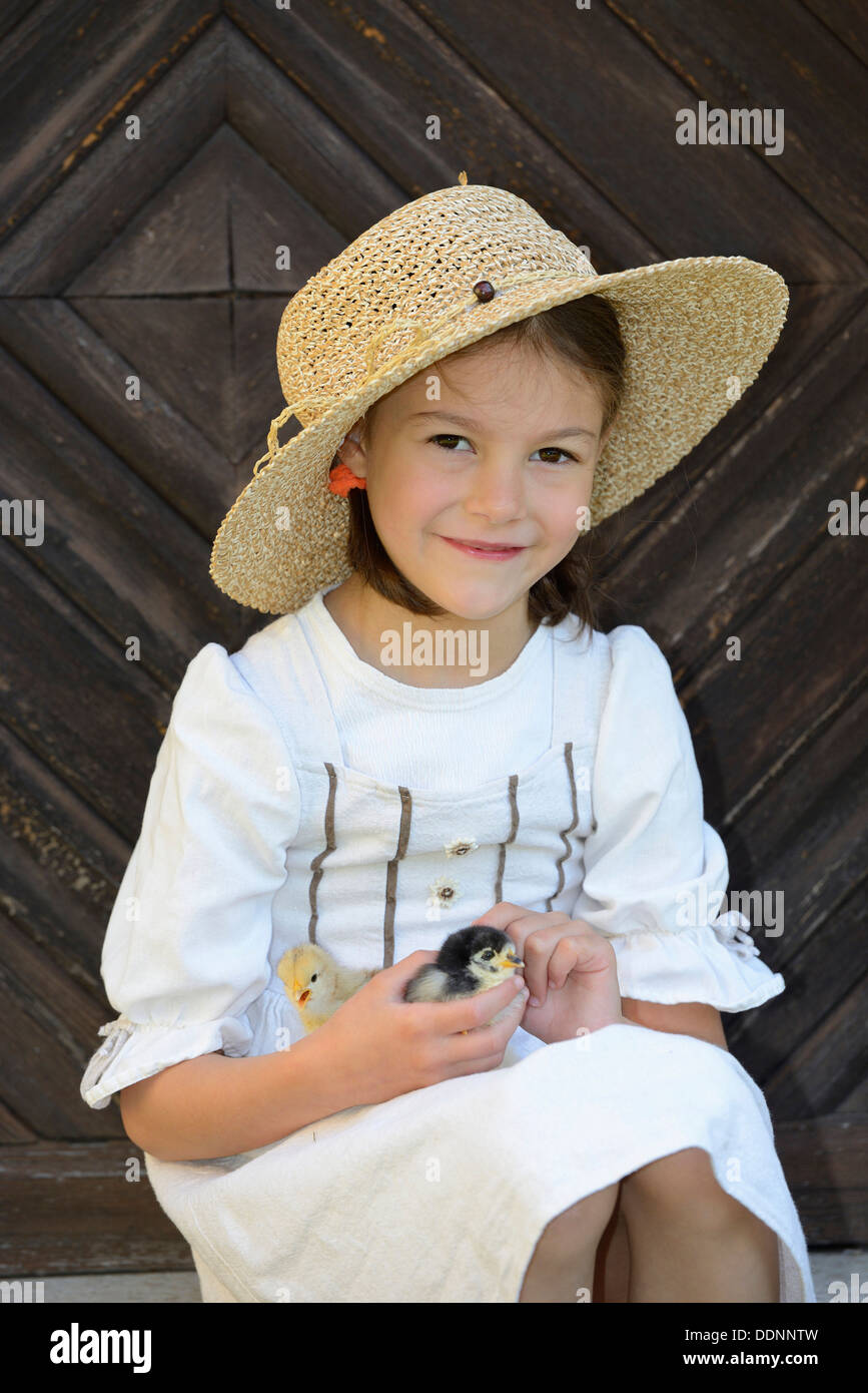 Seated chicken hi-res stock photography and images - Alamy