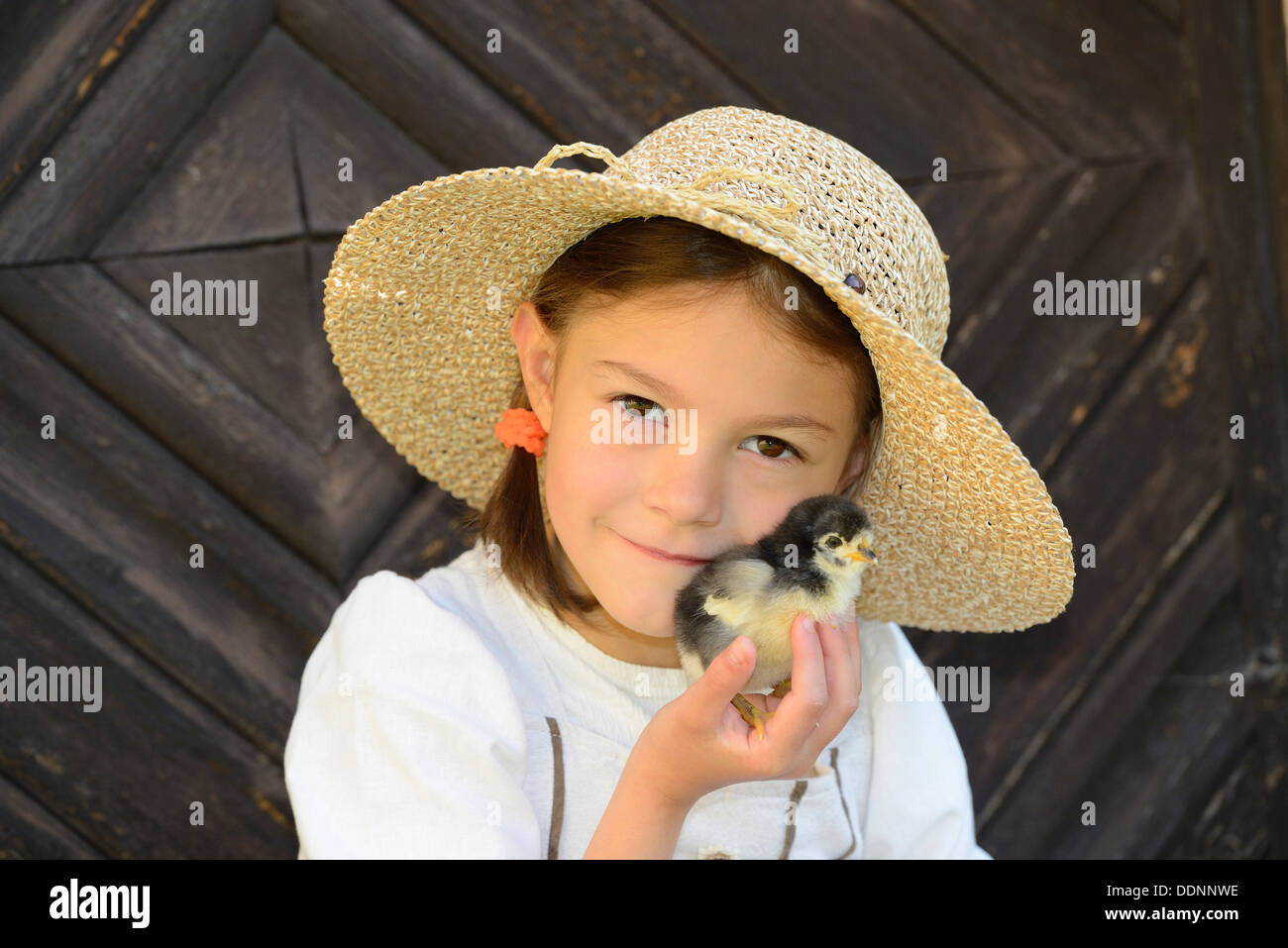 Girl with a chicken chick Stock Photo - Alamy
