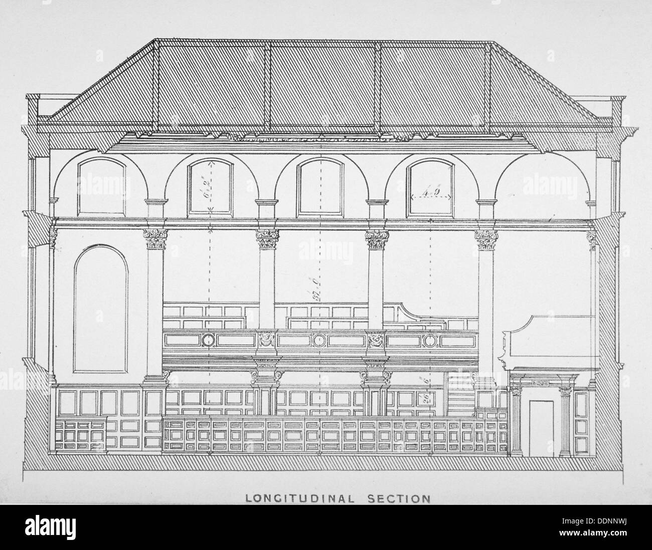 Longitudinal section hi-res stock photography and images - Alamy