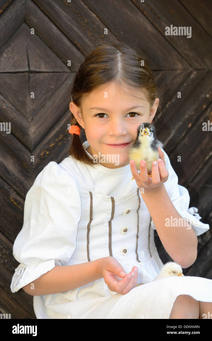 Seated chicken hi-res stock photography and images - Alamy