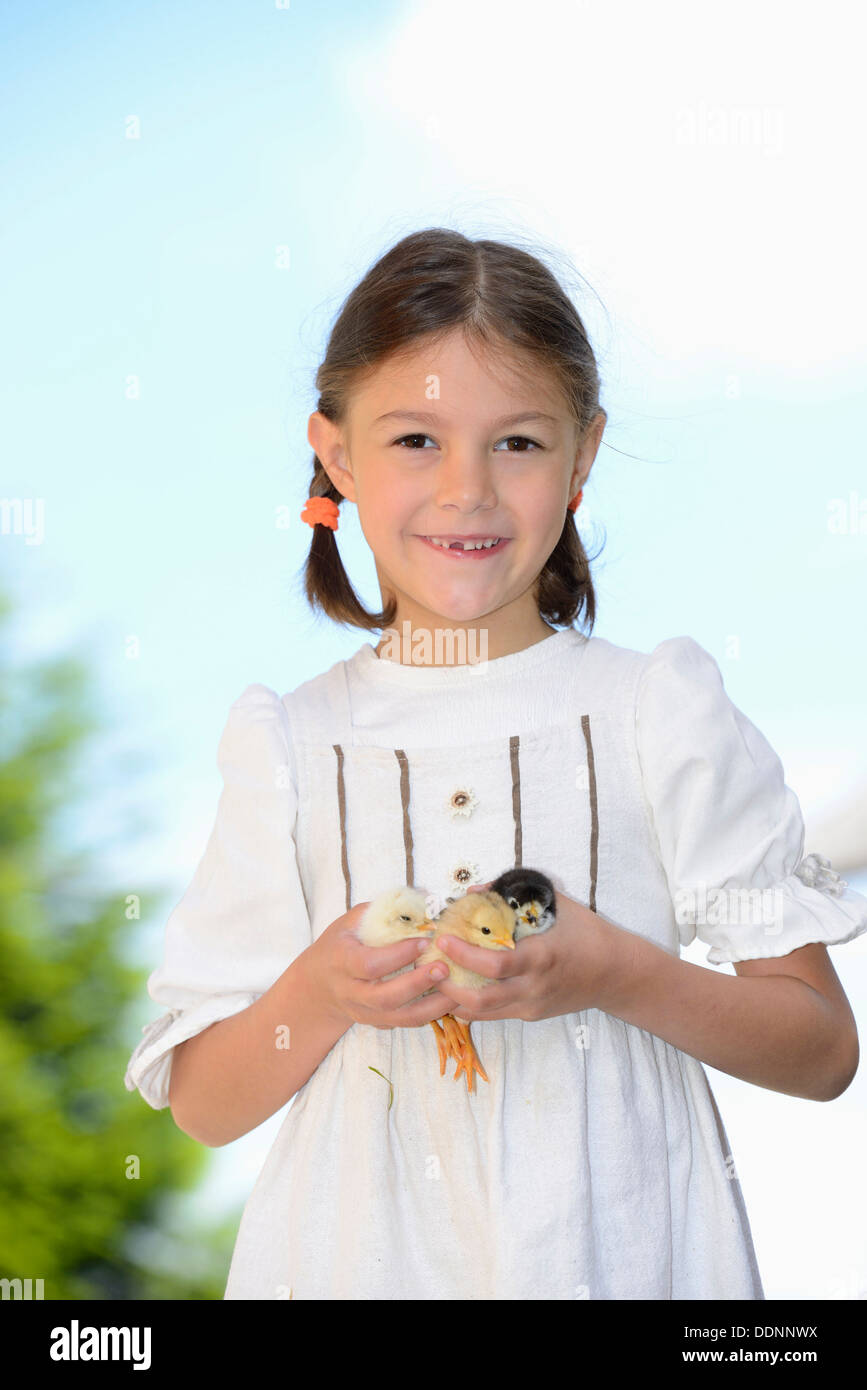 Girl holding three chicken chicks Stock Photo - Alamy