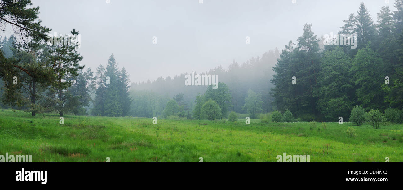 Moor in spring near Neumarkt, Upper Palatinate, Bavaria, Germany Stock ...