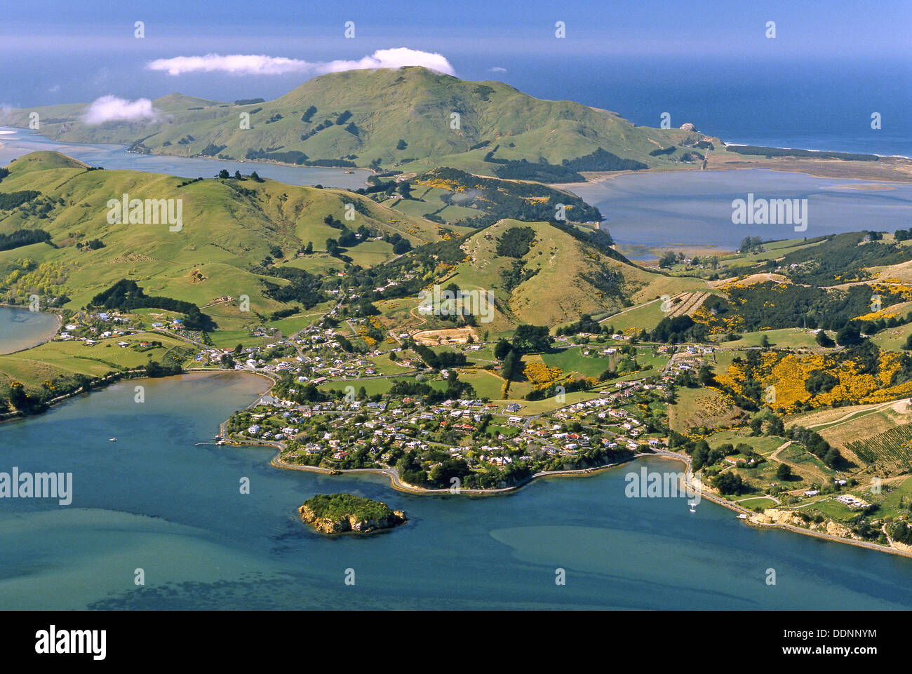 Portobello Otago Peninsula New Zealand High Resolution Stock ...