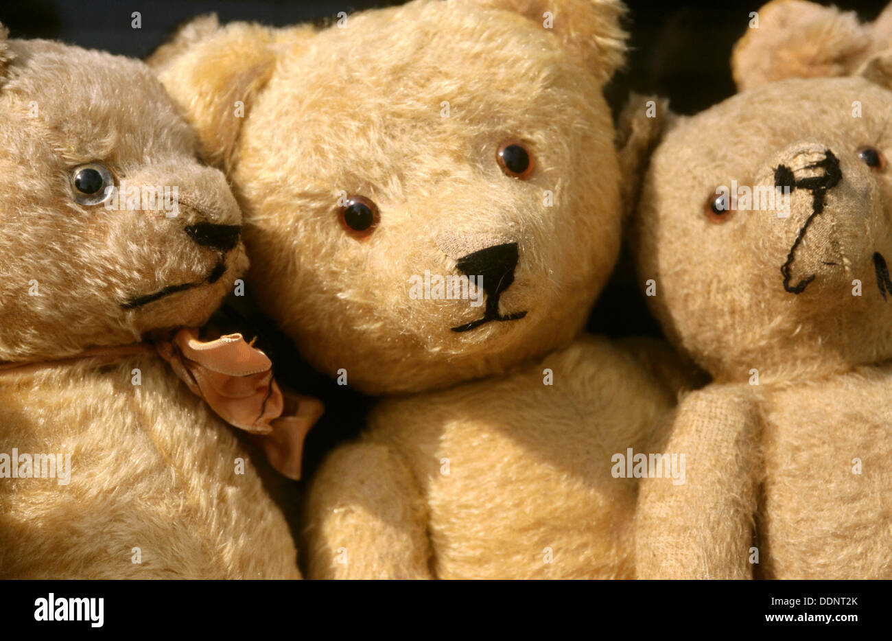 Old teddy bears. Illinois. USA Stock Photo - Alamy