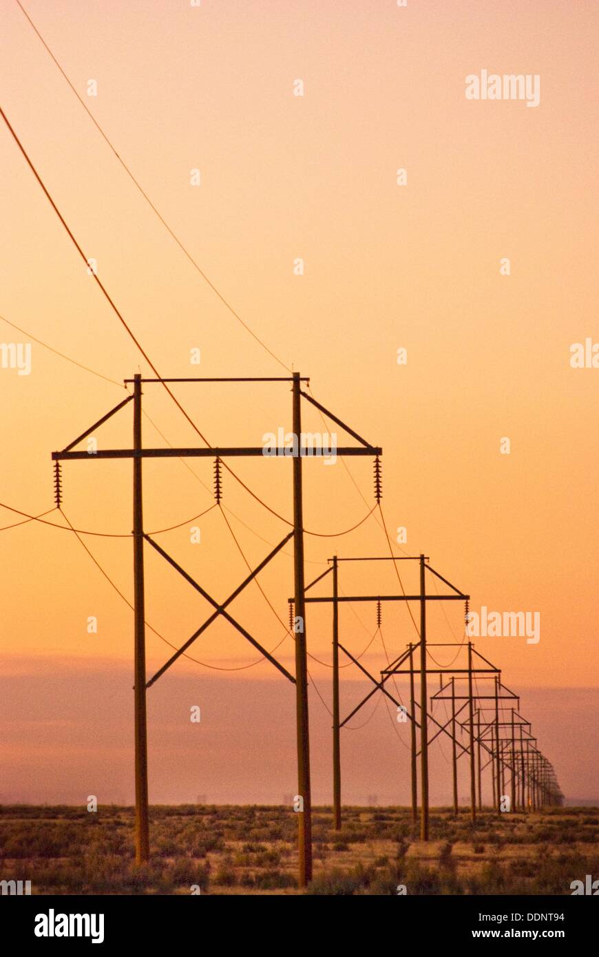 Lines In The Desert High Resolution Stock Photography and Images - Alamy