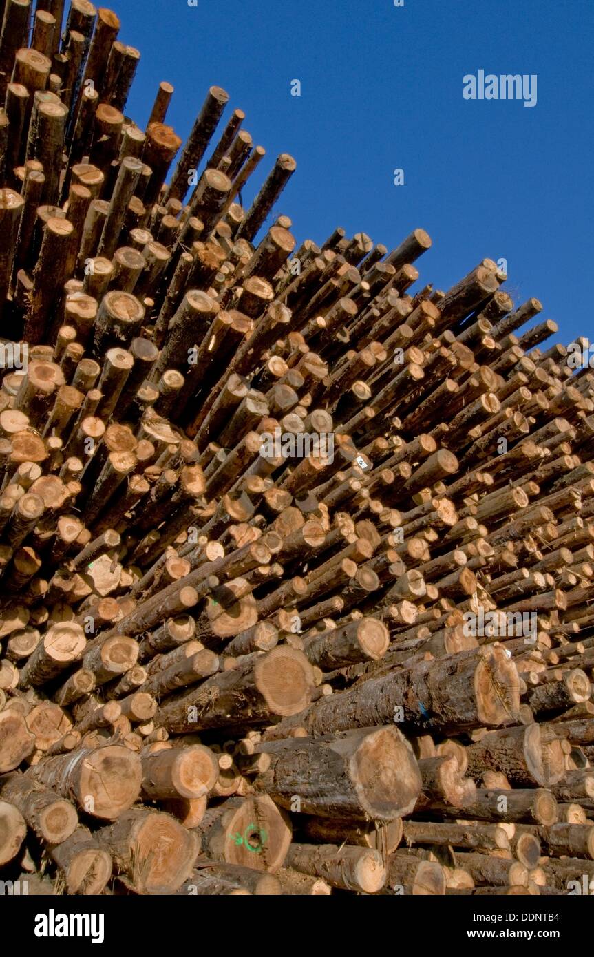 Softwood High Resolution Stock Photography and Images - Alamy