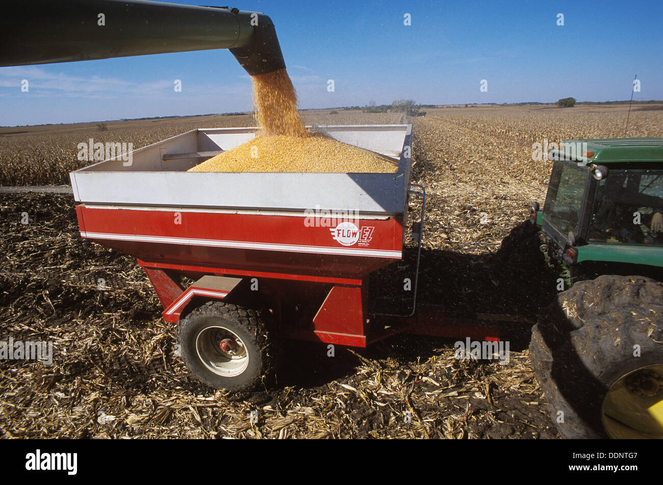 From cart hi-res stock photography and images - Alamy