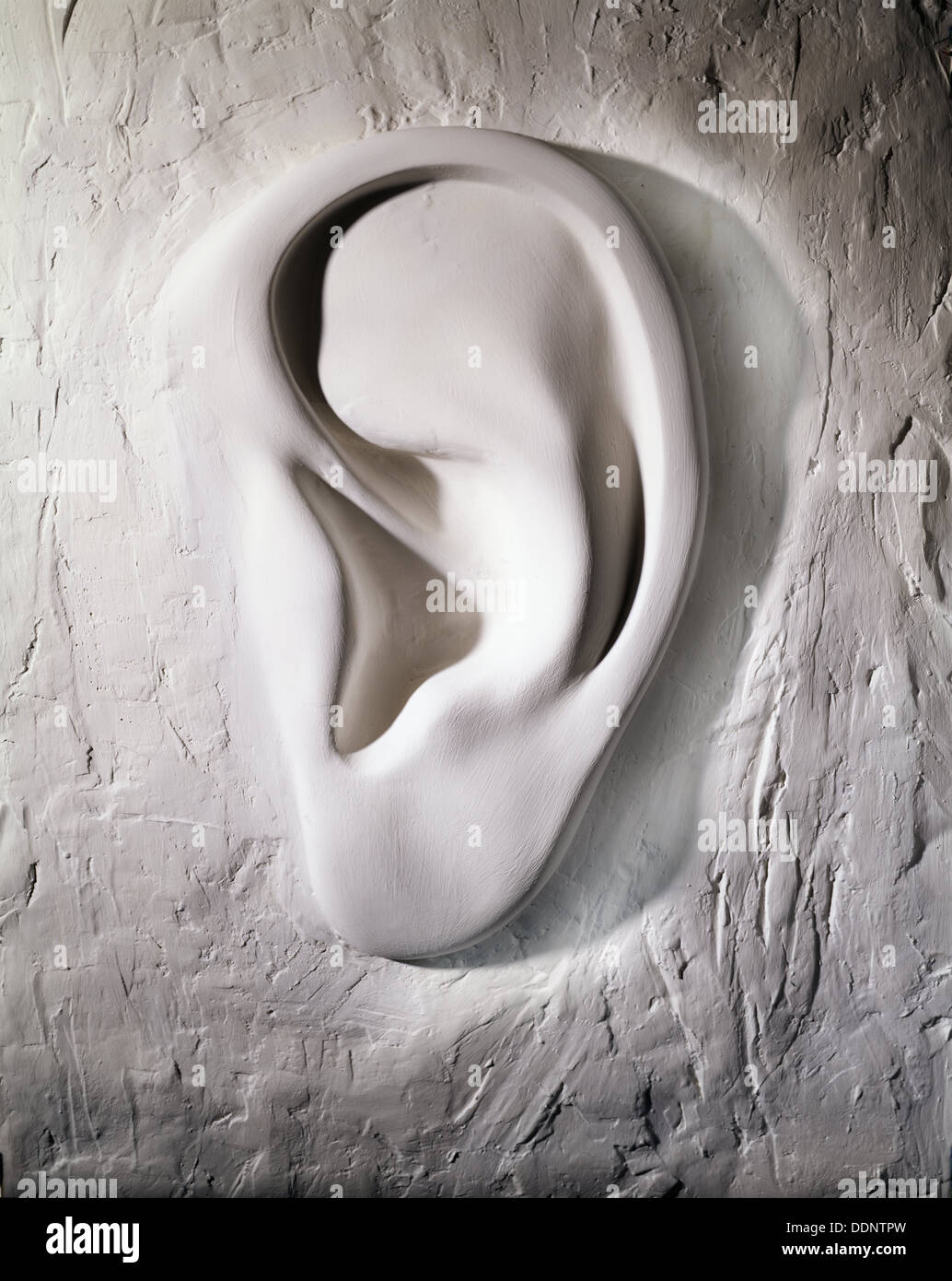 Ear as plaster cast Stock Photo - Alamy