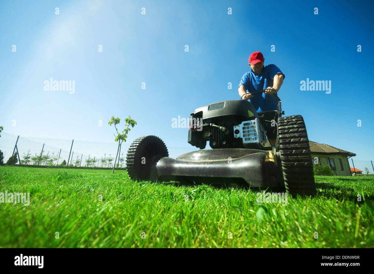 Mower hi-res stock photography and images - Alamy