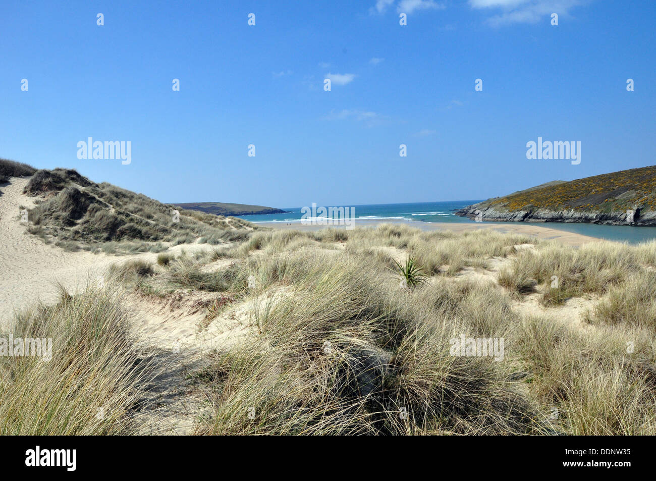Sand dunes above Crantock Bay, near Newquay, Cornwall, UK Stock Photo ...