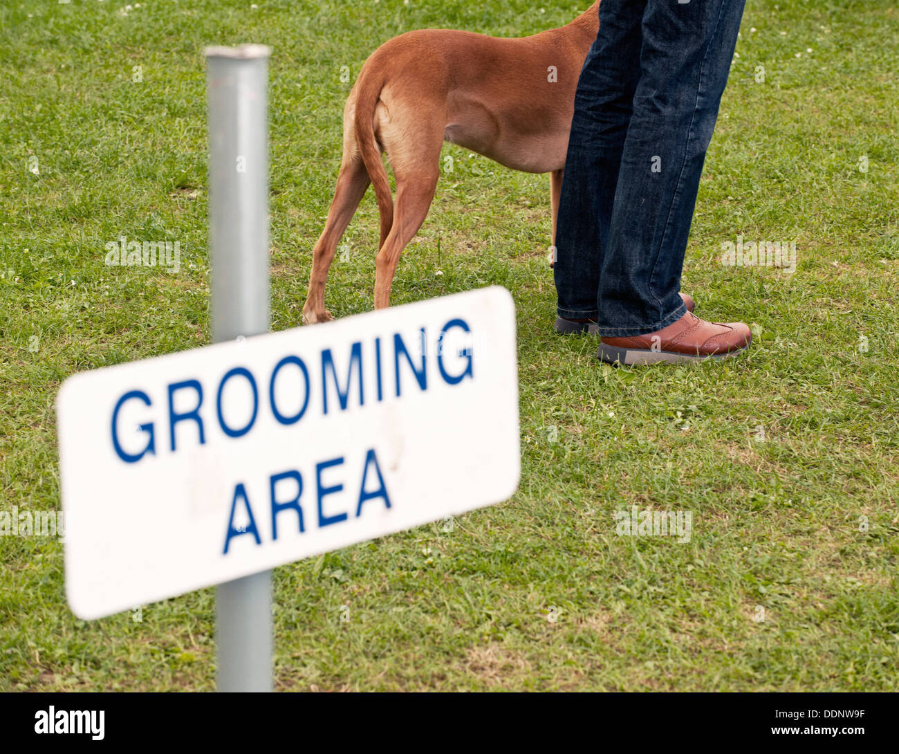 Grooming sign at dog show Stock Photo - Alamy