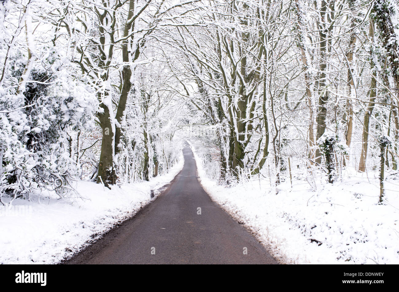 Country lane in winter the Cotswolds, Worcestershire, England, UK Stock ...
