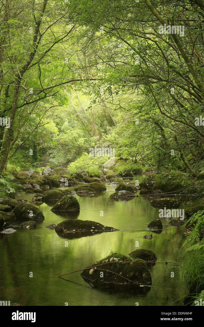 Neda River Stock Photos & Neda River Stock Images - Alamy