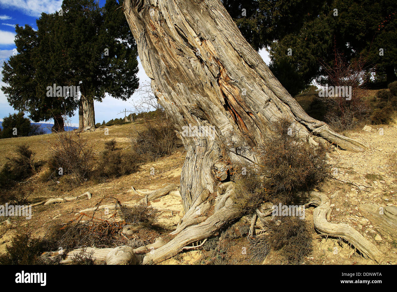 Ademuz rincon hi-res stock photography and images - Alamy