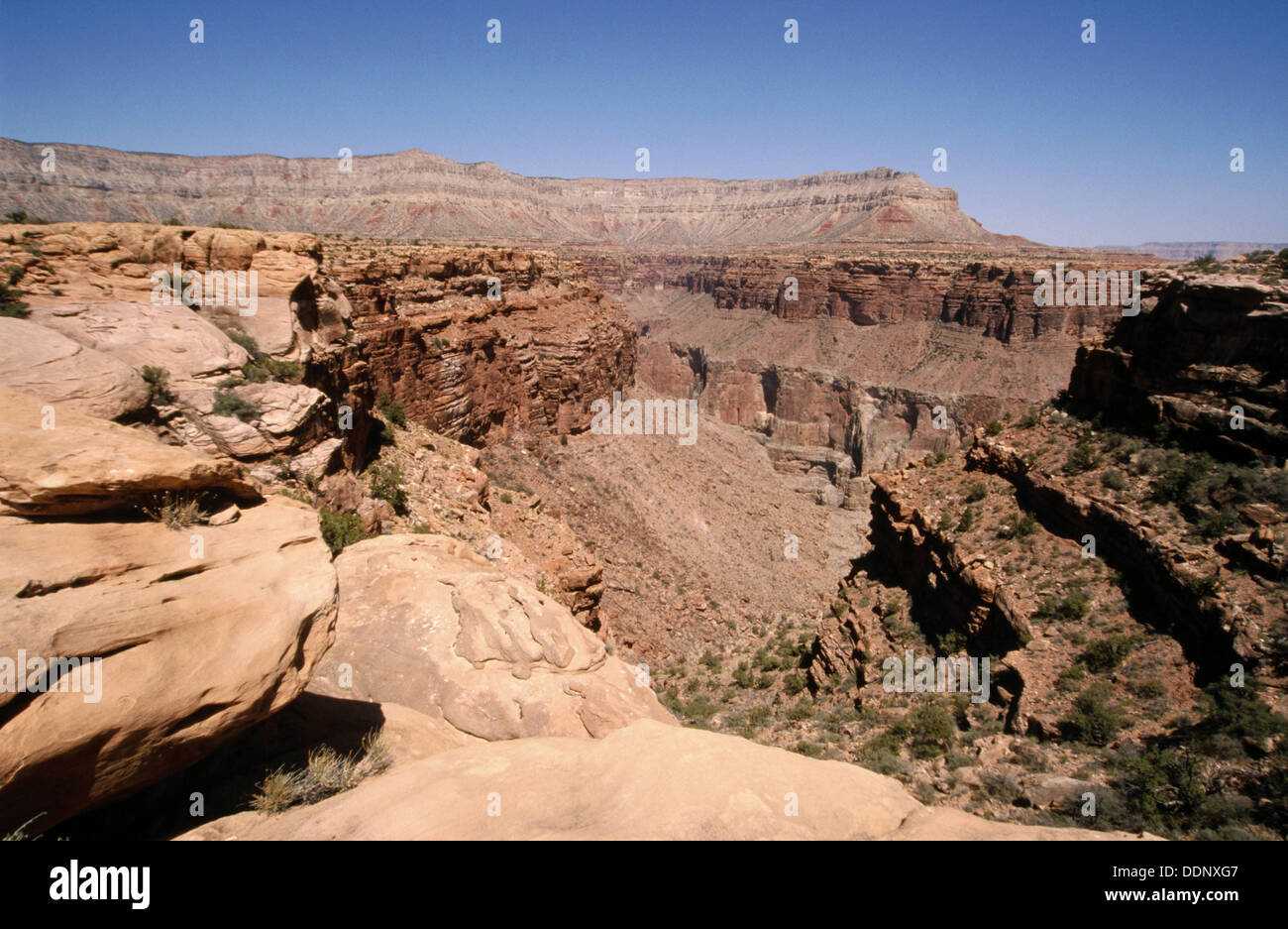 Tuweep Area, a remote place in the Grand Canyon Natural Park. Arizona ...