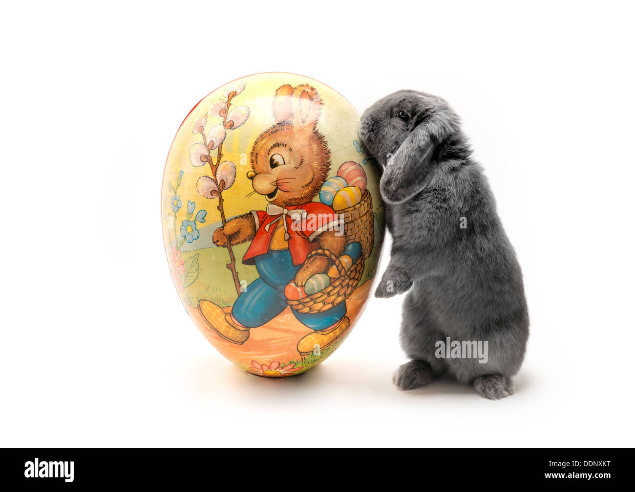 White rabbit next easter hi-res stock photography and images - Alamy