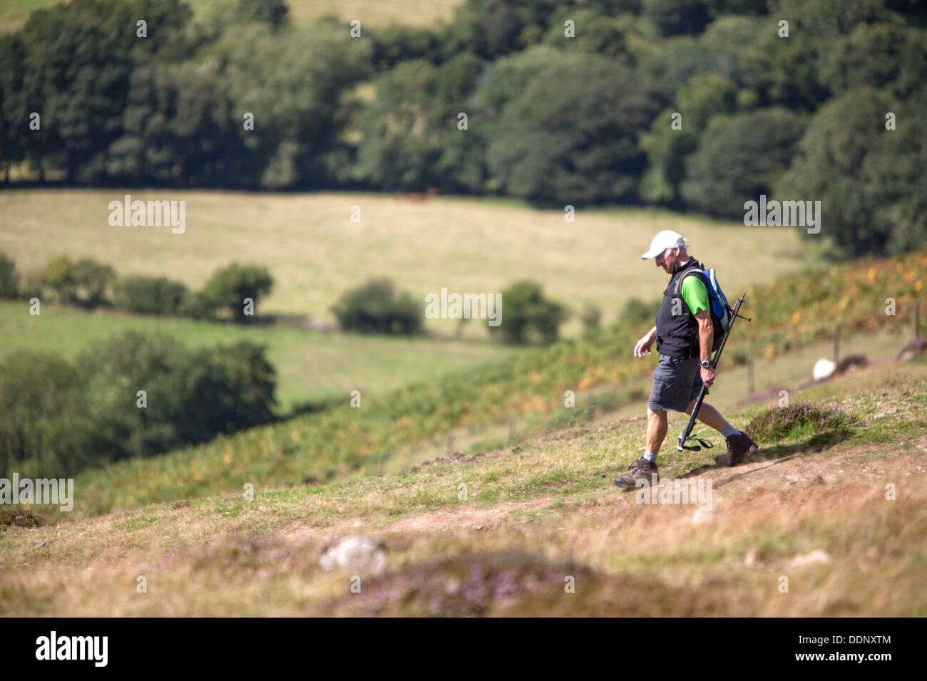 Walker on the Long Mynd, Shropshire, England, UK Stock Photo - Alamy