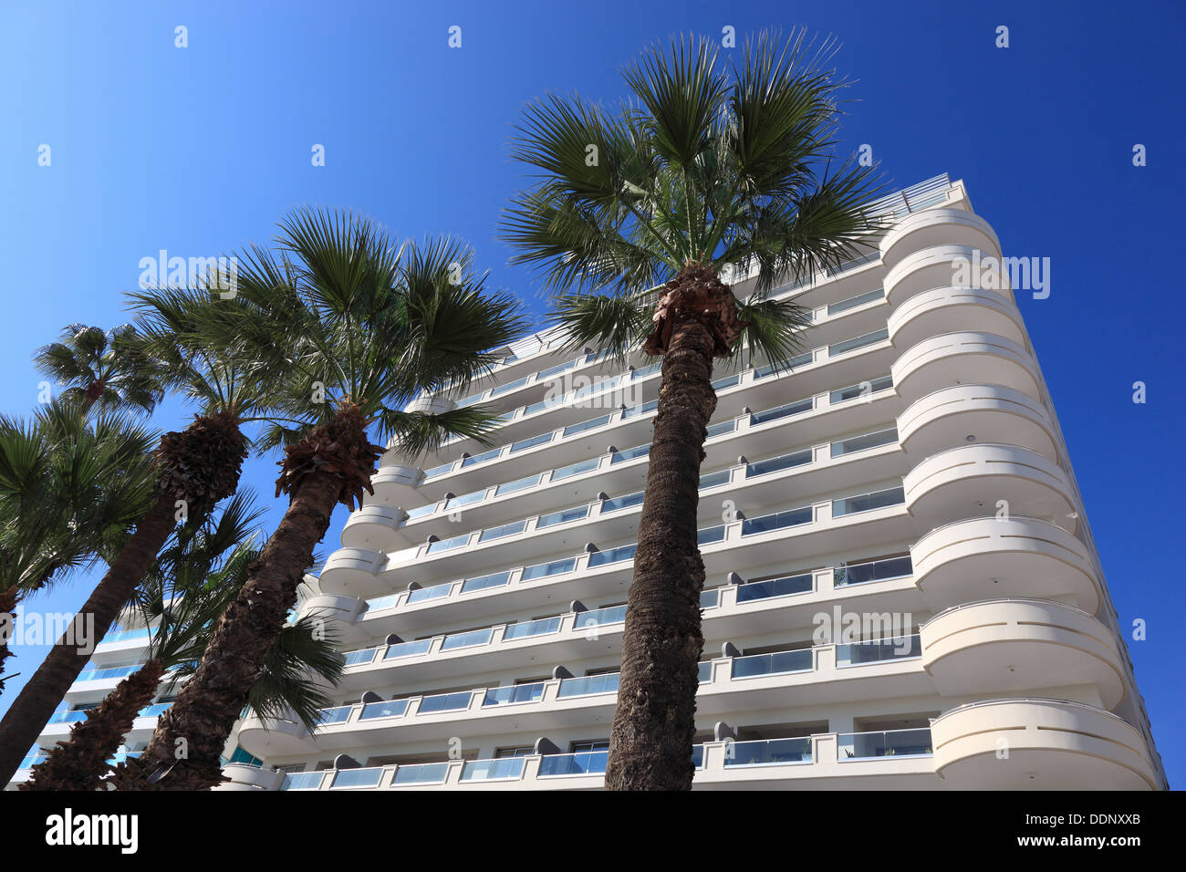 Cyprus, Larnaca, hotel, residential buildings, palm trees Stock Photo ...