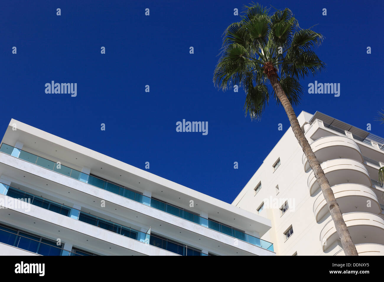 Cyprus, Larnaca, hotel, residential buildings, palm trees Stock Photo ...