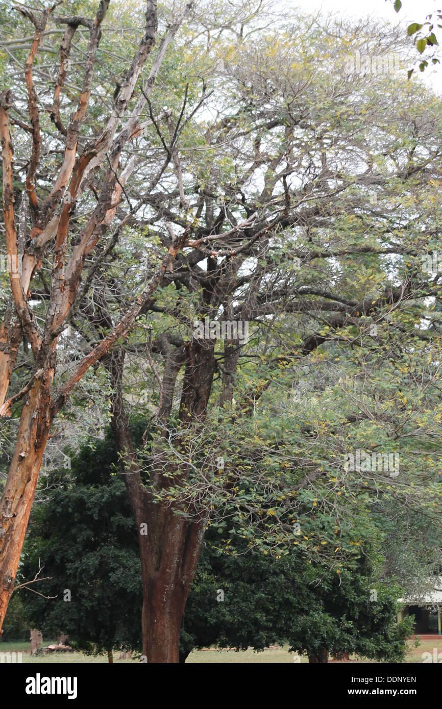 Beautiful environment hi-res stock photography and images - Alamy