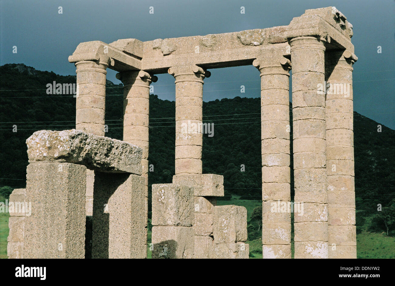 Sardus pater hi-res stock photography and images - Alamy