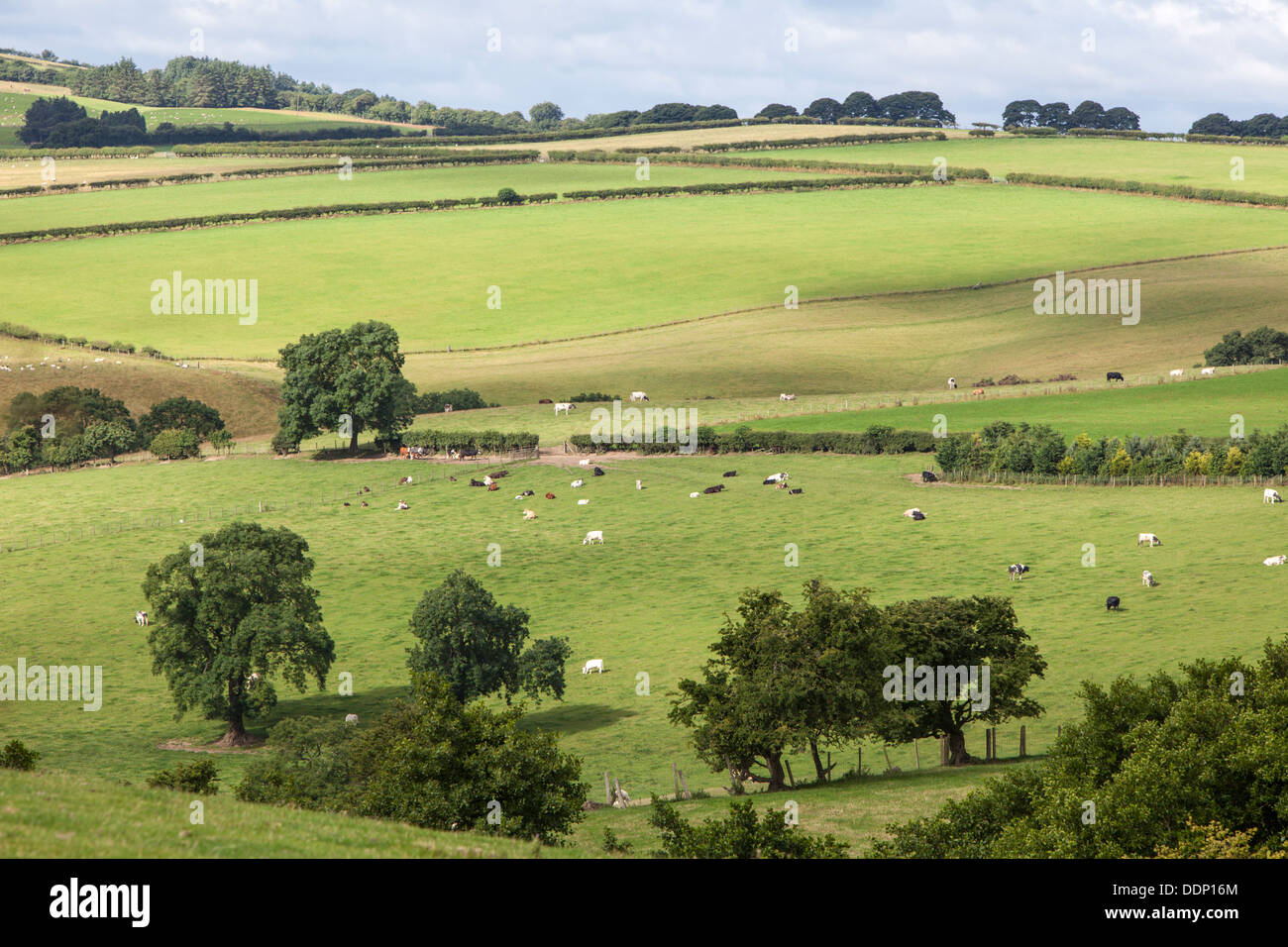 Summertime over farmland on Long Mountain on the border between ...