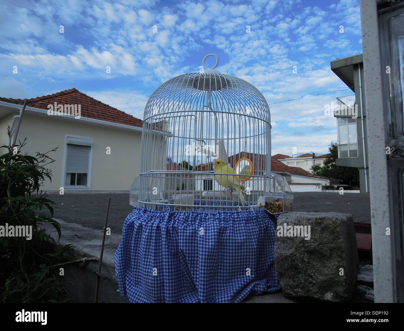Blue bird cage hi-res stock photography and images - Alamy
