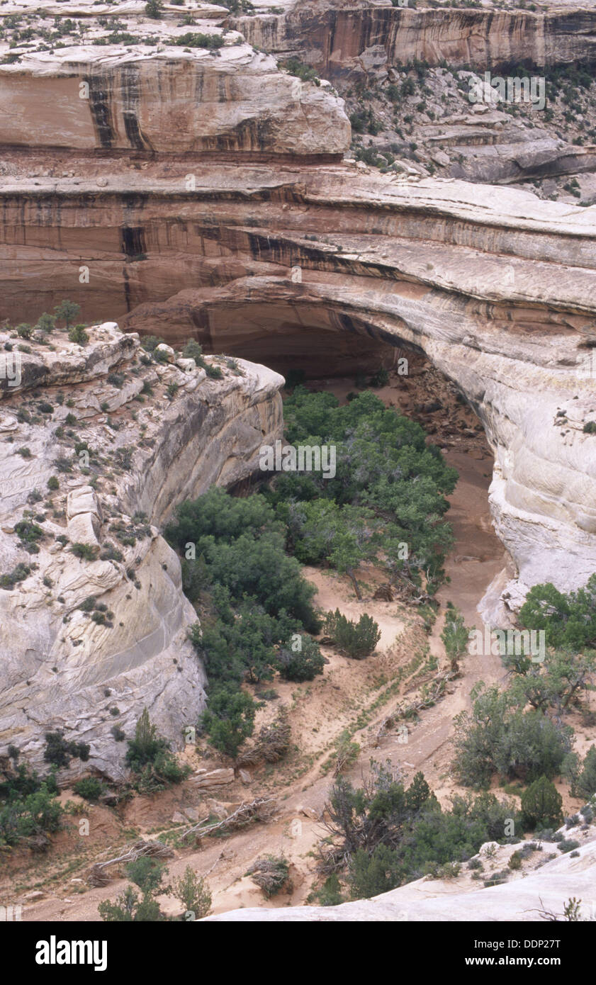 Kachina Bridge High Resolution Stock Photography and Images - Alamy