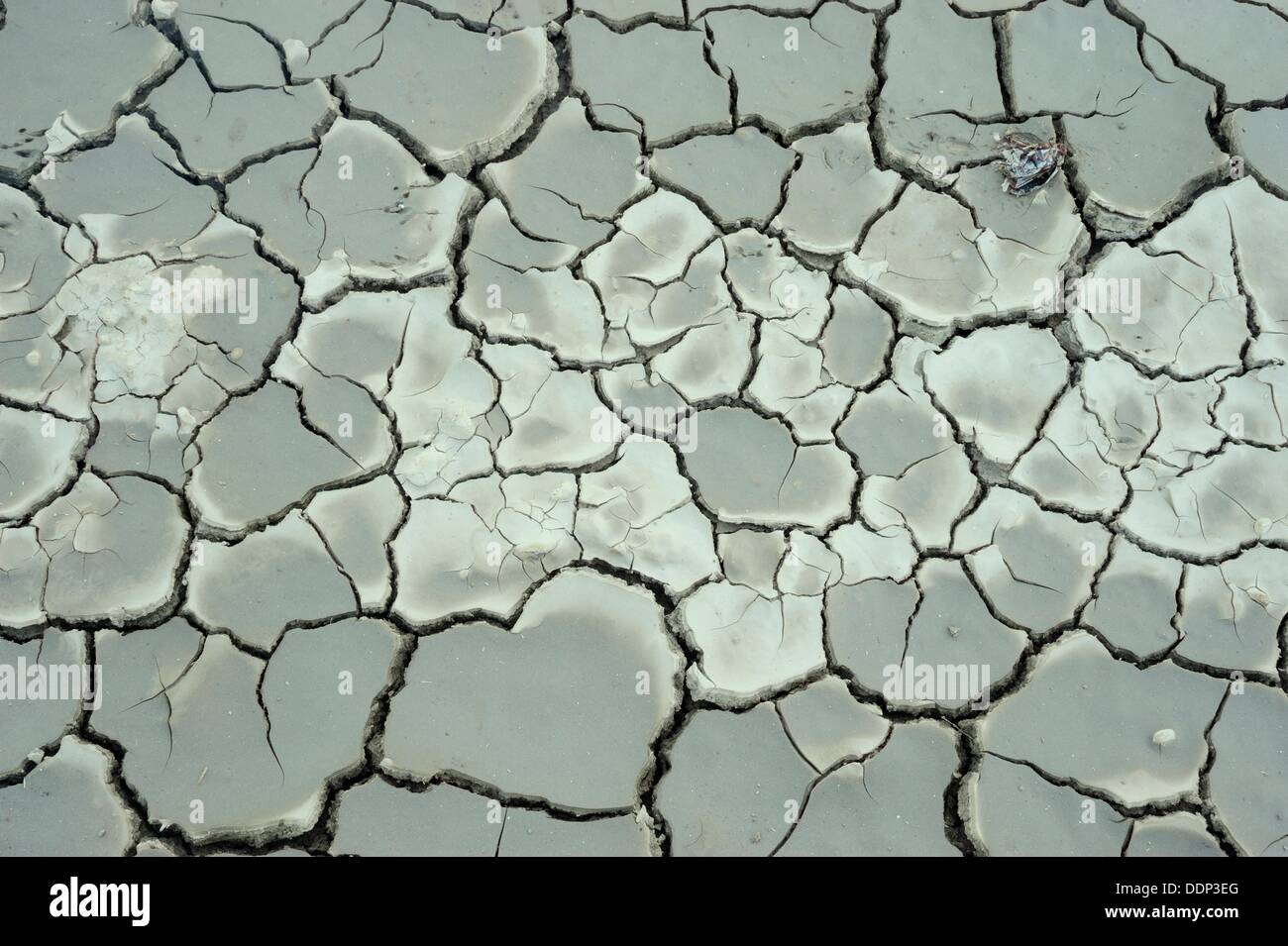 Cracked, drying mud after a period of rain Stock Photo - Alamy