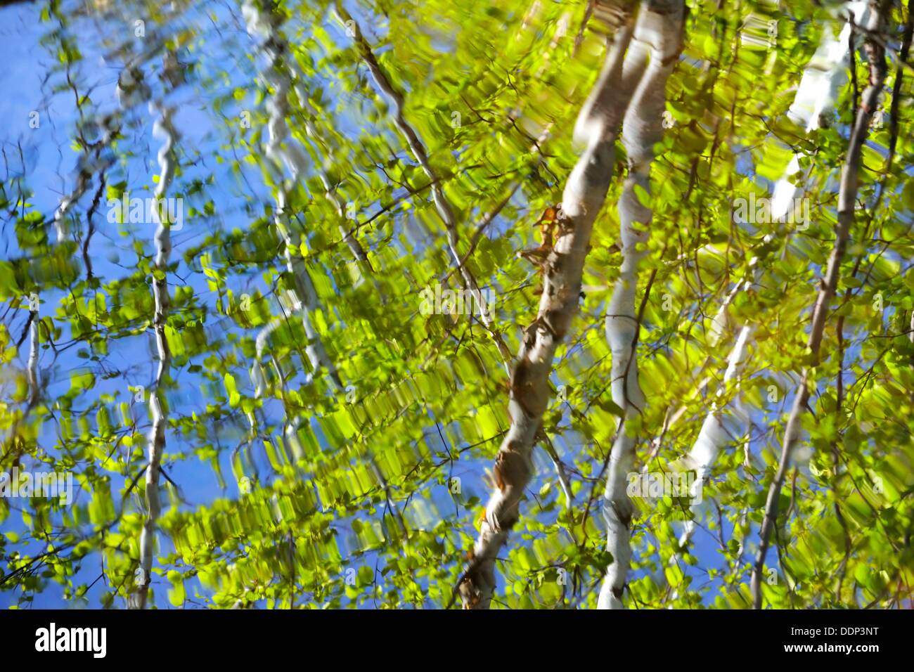 Digital pool hi-res stock photography and images - Alamy