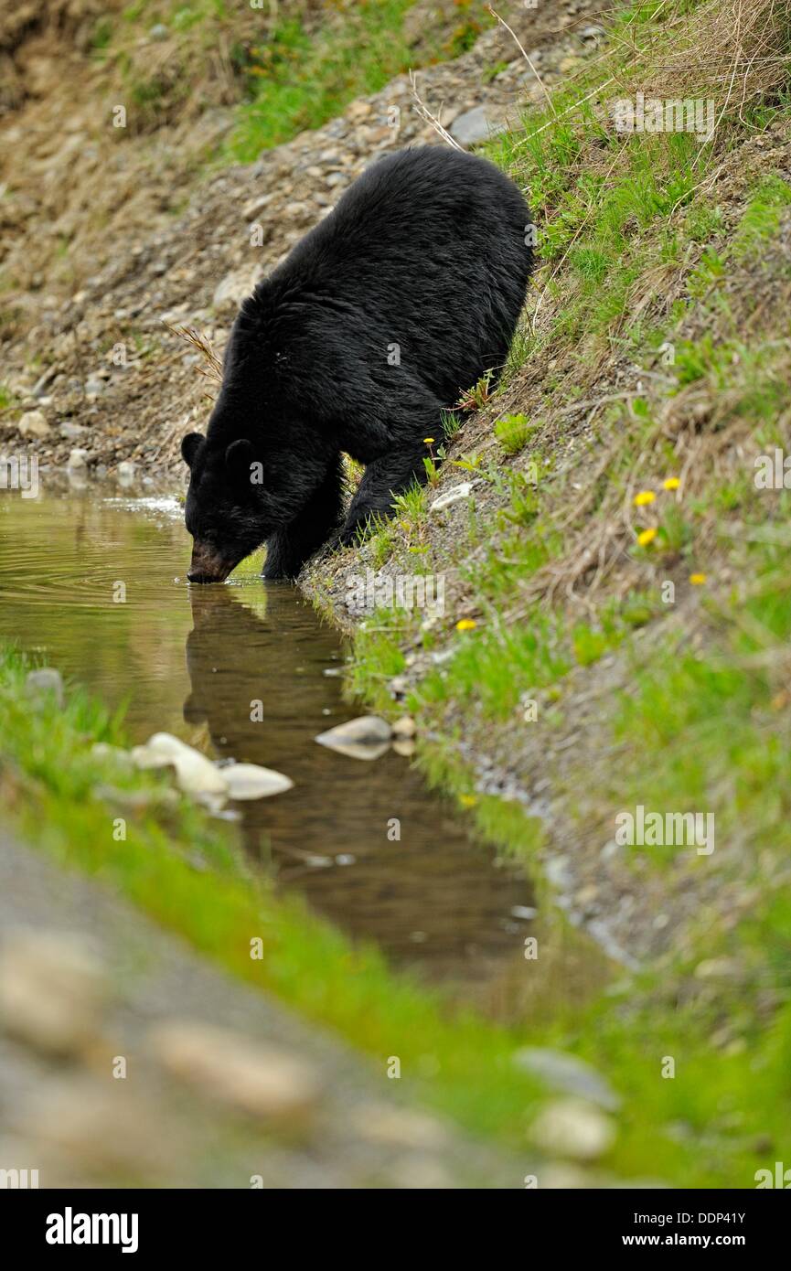 Giant puddle hi-res stock photography and images - Alamy