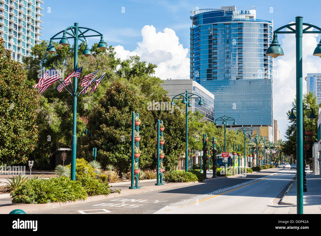 Decorative lamp posts with flags and potted plants along North Magnolia ...