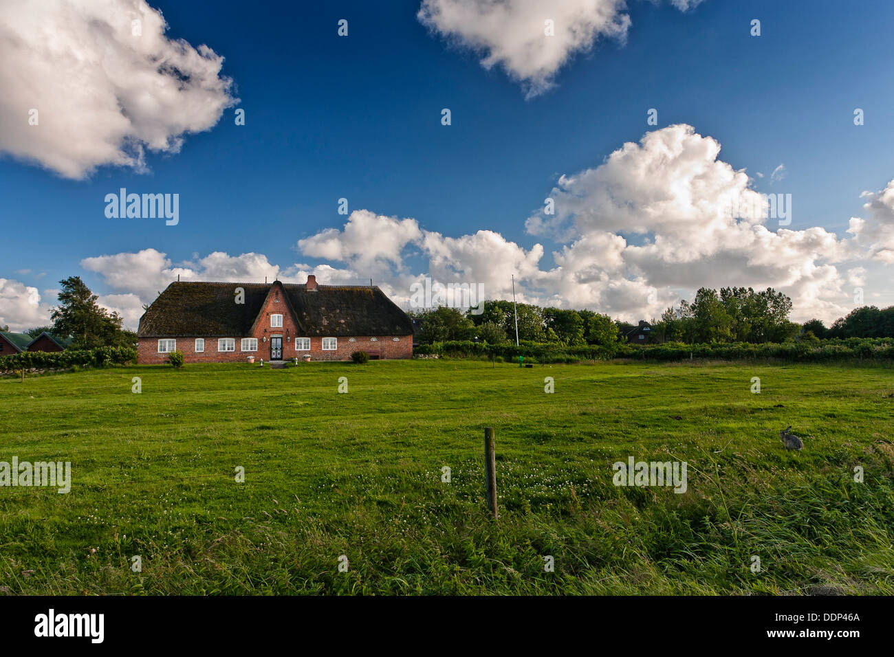 Thatched house, Morsum, Sylt, Schleswig-Holstein, Germany, Europe Stock ...