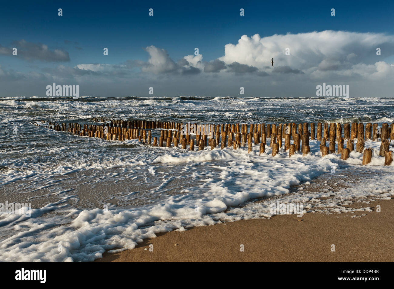 Surf, North Sea, Sylt, Schleswig-Holstein, Germany, Europe Stock Photo ...