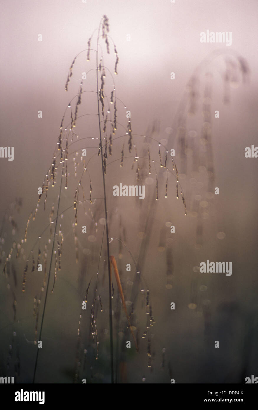 Johnson cove hi-res stock photography and images - Alamy