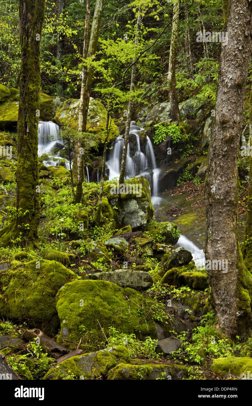 Ephemeral cascade hi-res stock photography and images - Alamy