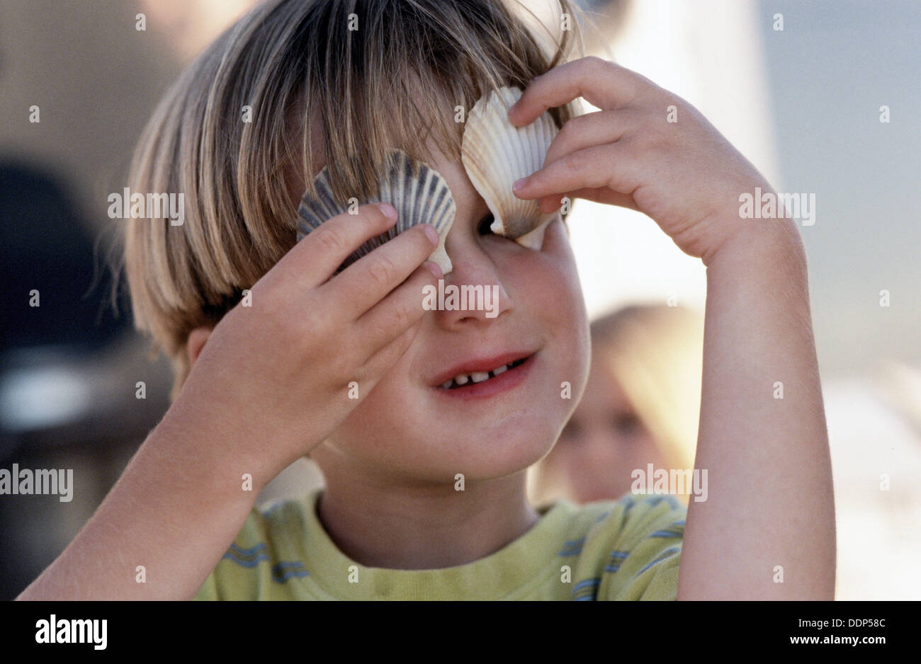 Scallop shell eyes hi-res stock photography and images - Alamy