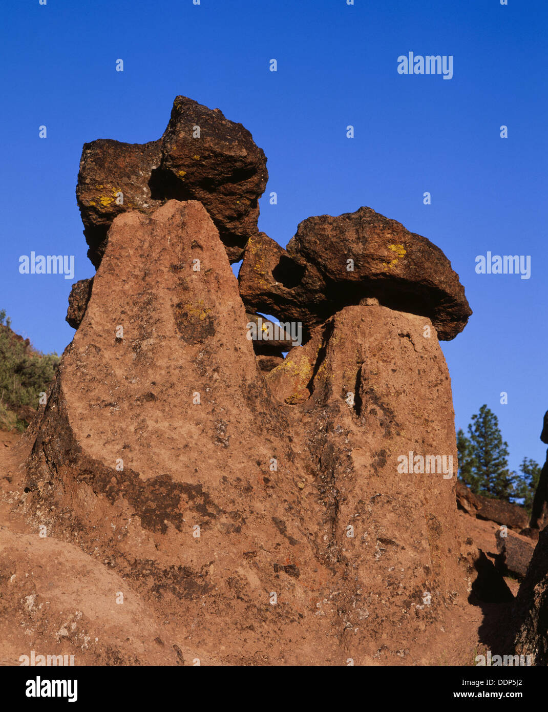 Lake billy chinook oregon hi-res stock photography and images - Alamy