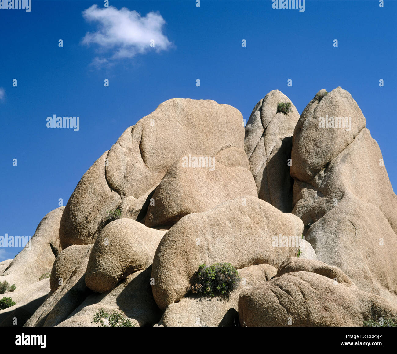 Jumbo Rocks, Joshua Tree National Park. Southern California, USA Stock ...