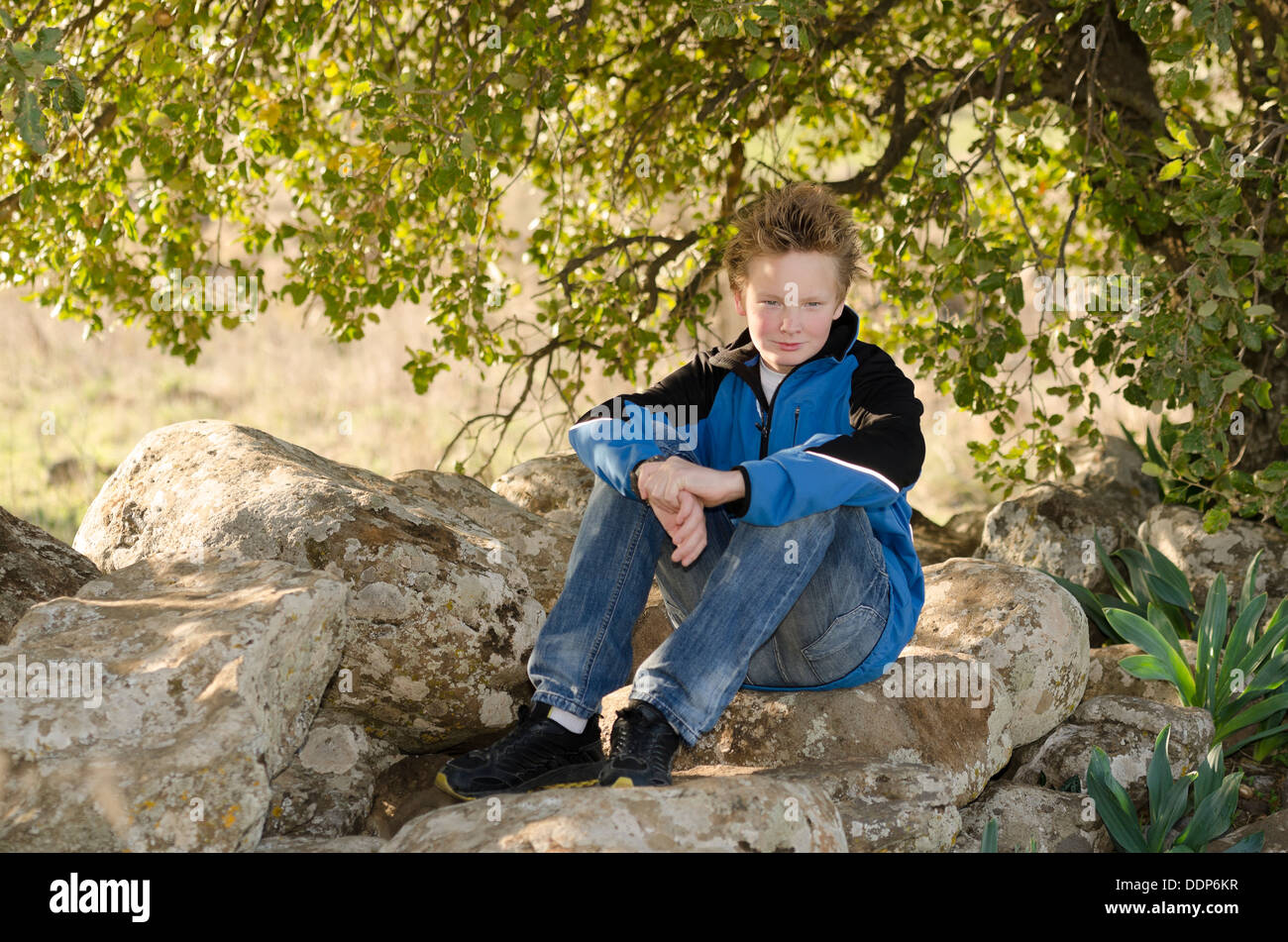 Boy sitting in nature on a rock under a tree Stock Photo - Alamy