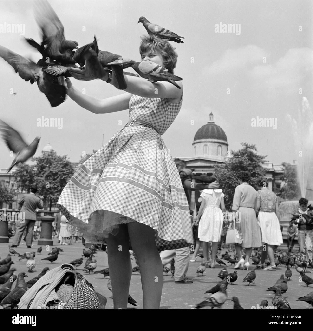 Gingham Clothes For Women