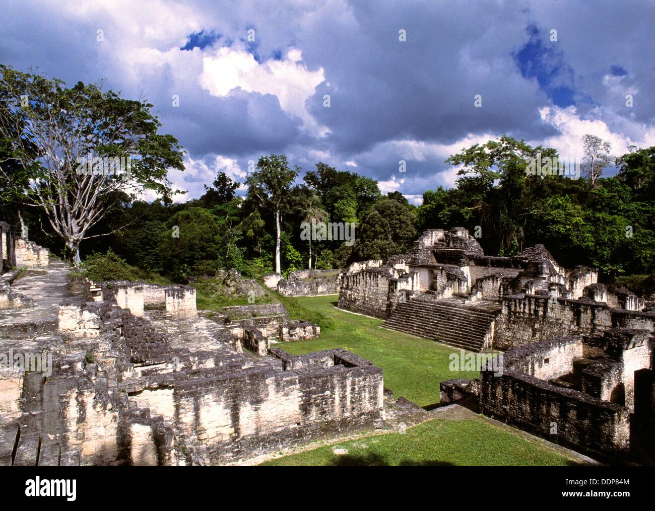 Mayan City of Tikal Guatemala Tikal or Tik’al according to the modern ...