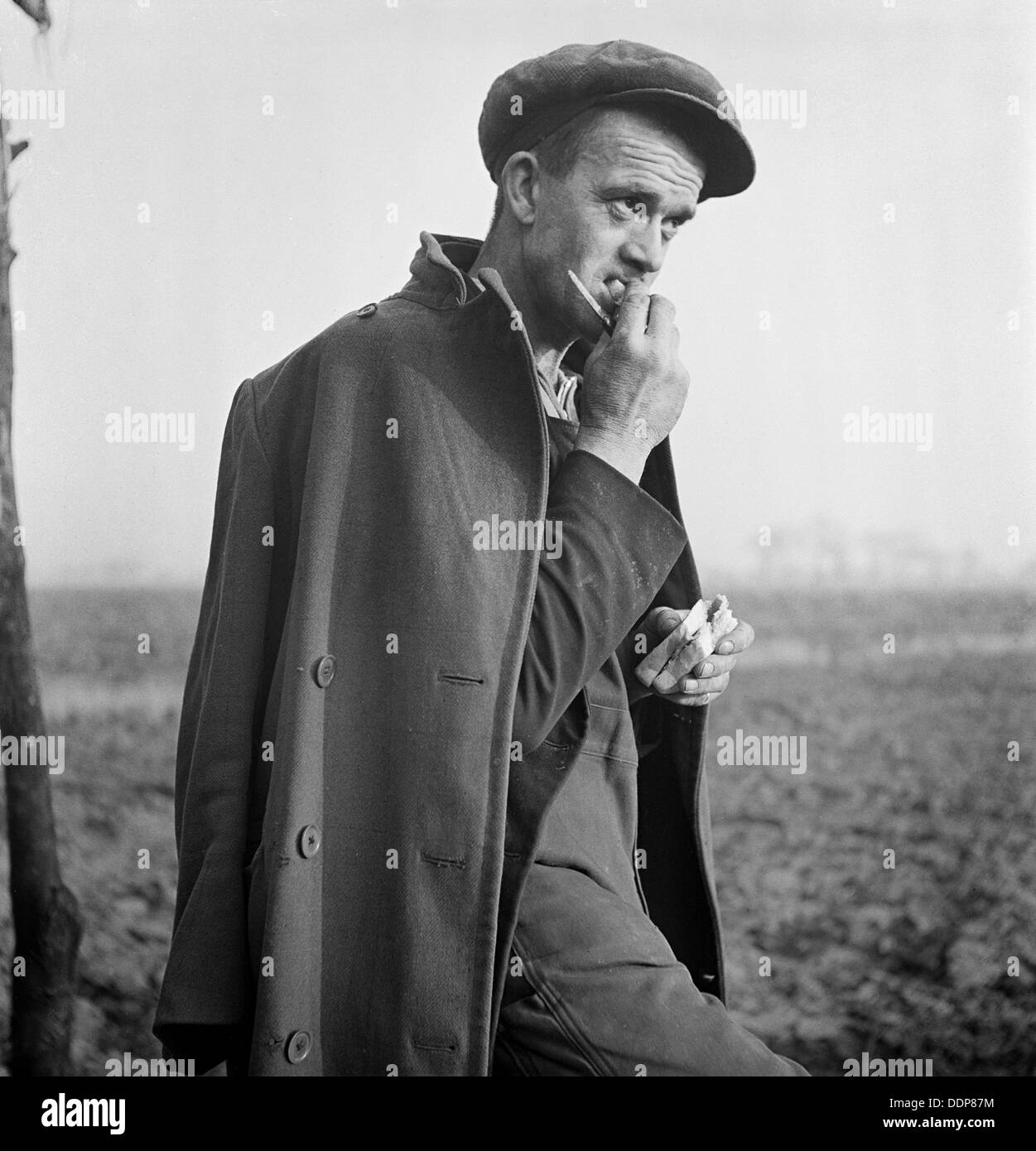 Farm 1950s hi-res stock photography and images - Alamy