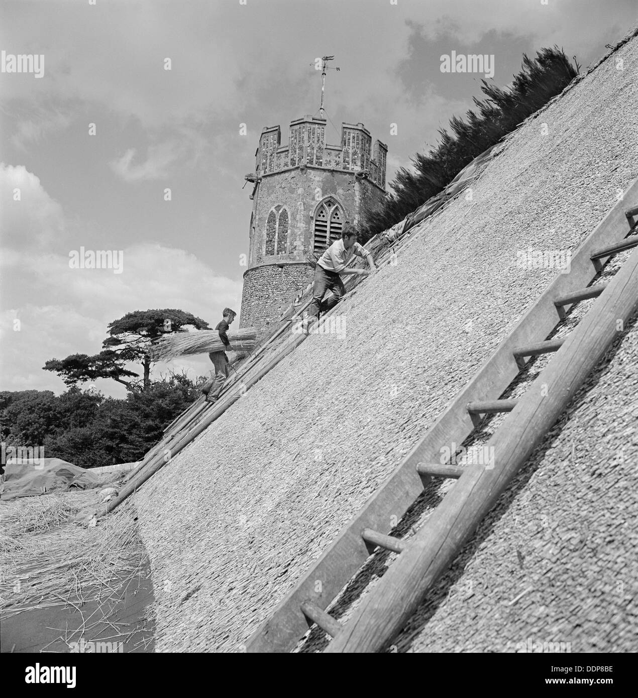 Theberton hi-res stock photography and images - Alamy